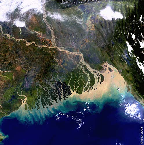Il delta del Gange, il più grande del mondo, sta sparendo inghiottito ...