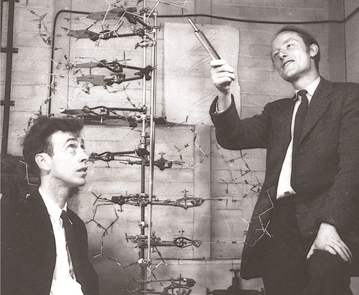 Watson, Crick, Wilkins, Franklin: oggi esattamente 61 anni dalla ...