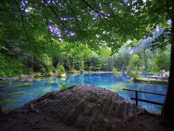 Blausee, l'affascinante lago dalle acque le cristalline nel cuore delle ...