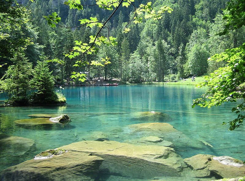 Blausee, l'affascinante lago dalle acque le cristalline nel cuore delle ...