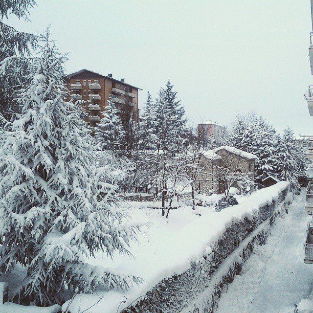 Campobasso sommersa da un metro di neve: città paralizzata, saltano i ...
