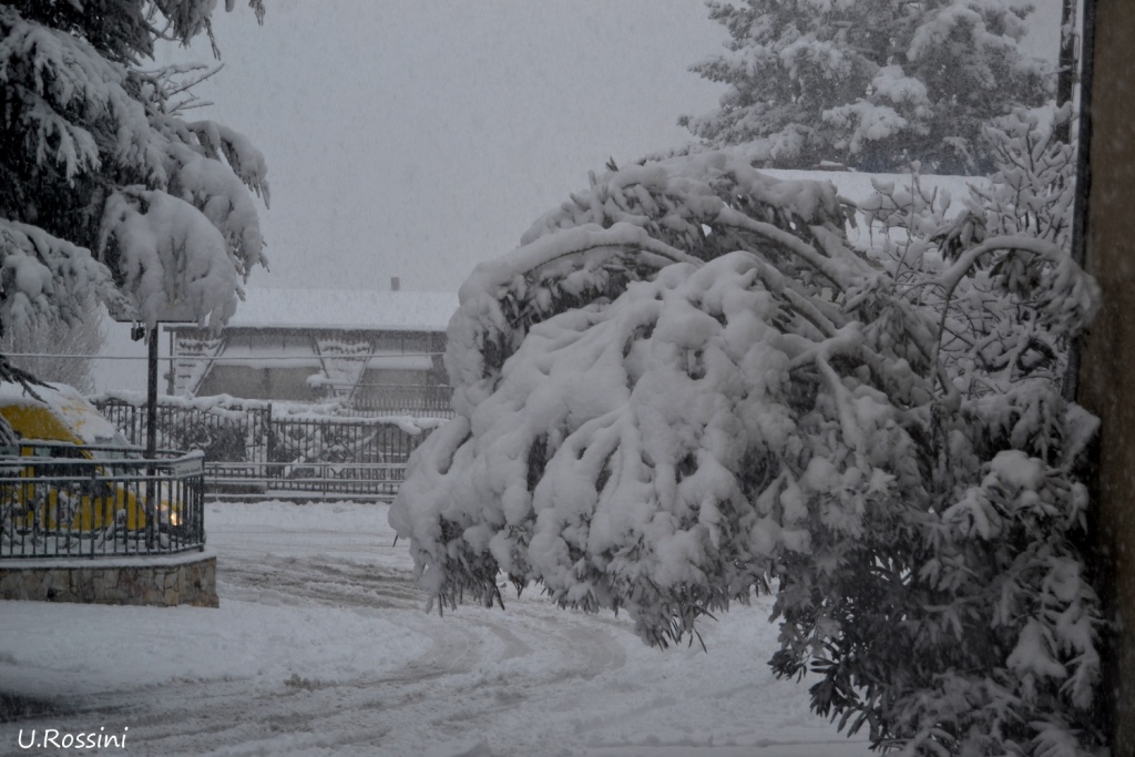 Maltempo, tutte le FOTO della grande nevicata di ieri nella Sila ...