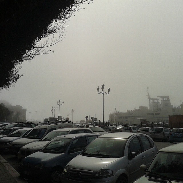 Da Genova a Trapani passando per Pisa: un'insolita nebbia sulle coste ...