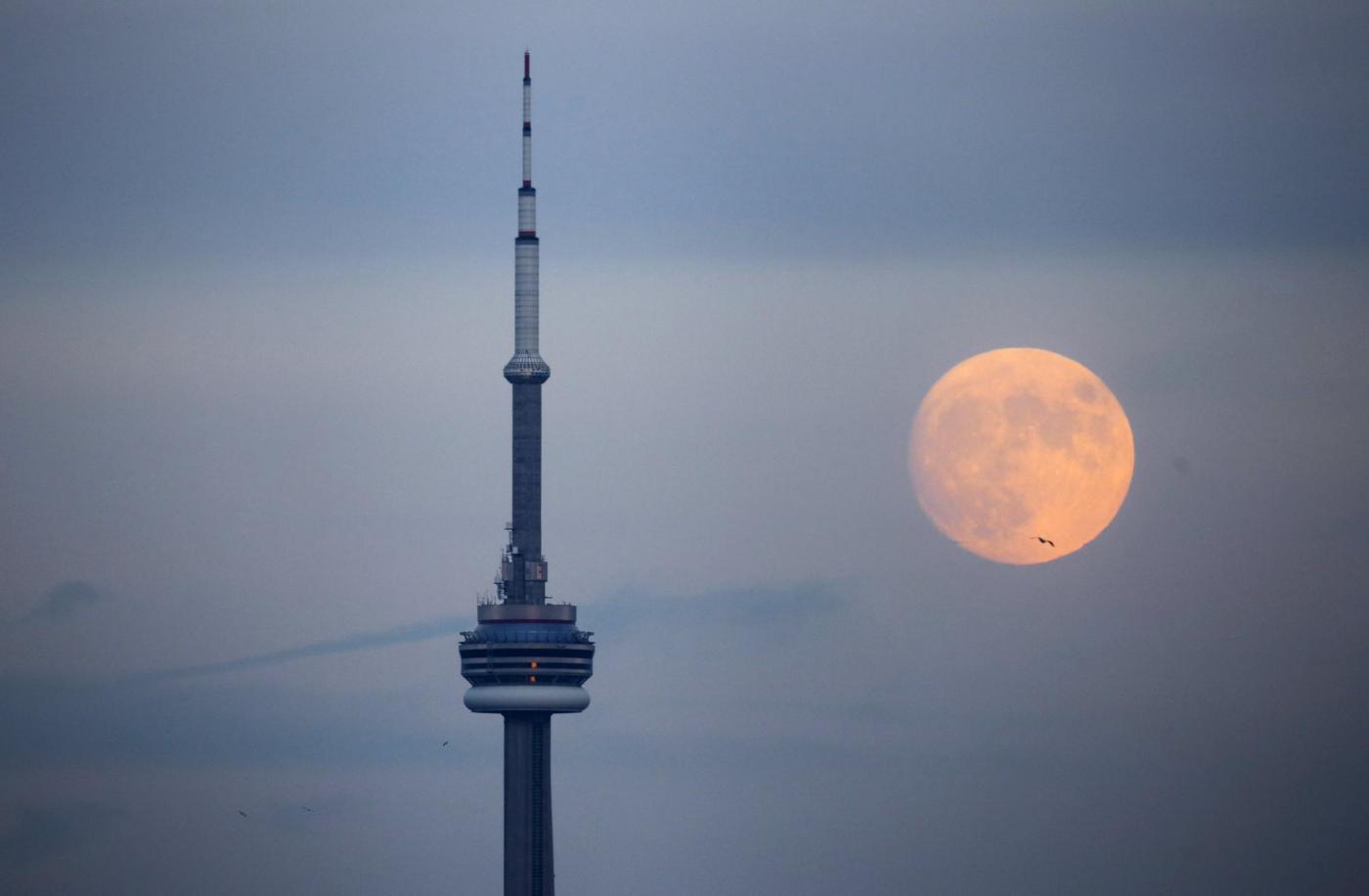 Toronto: la luna sorge dietro alla CN Tower [FOTO]