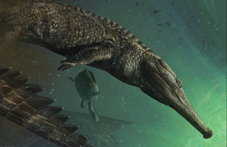 Machimosaurus rex: il coccodrillo gigante che è sopravvissuto all ...
