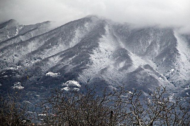 Vesuvio, il 3 Maggio la salita alla cima del Monte Somma: ecco perché è ...