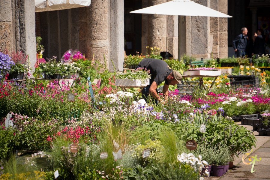 Flora et Decora 2017, numeri in crescita per la mostra mercato dedicata ...