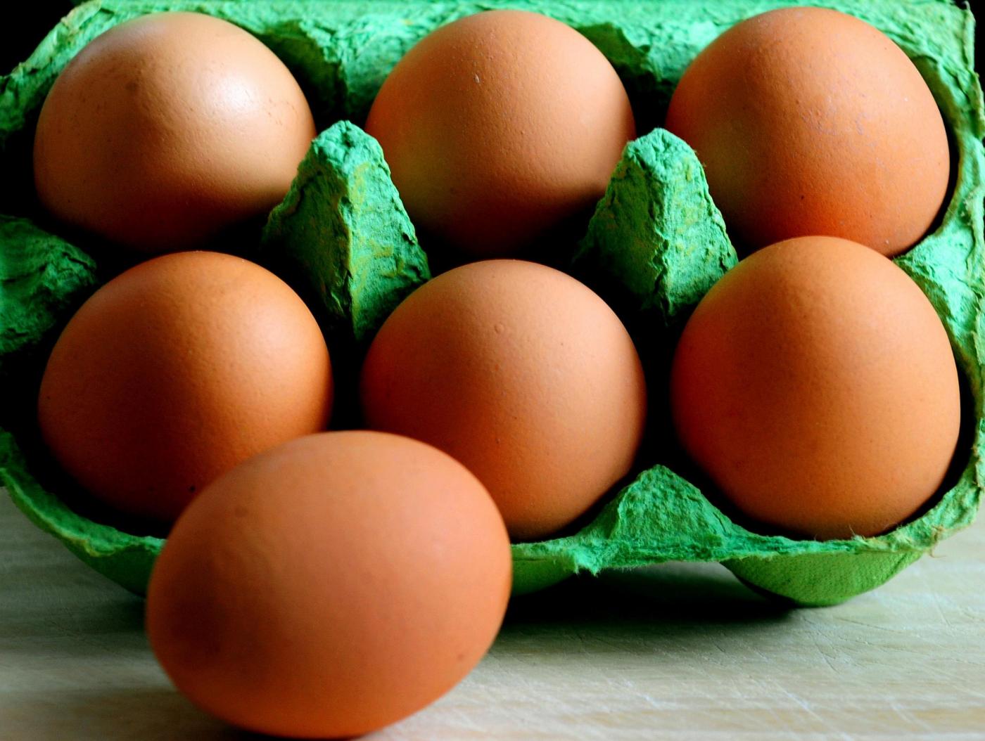 Uova contaminate: ecco cos'è il fipronil e perché è pericoloso per la ...