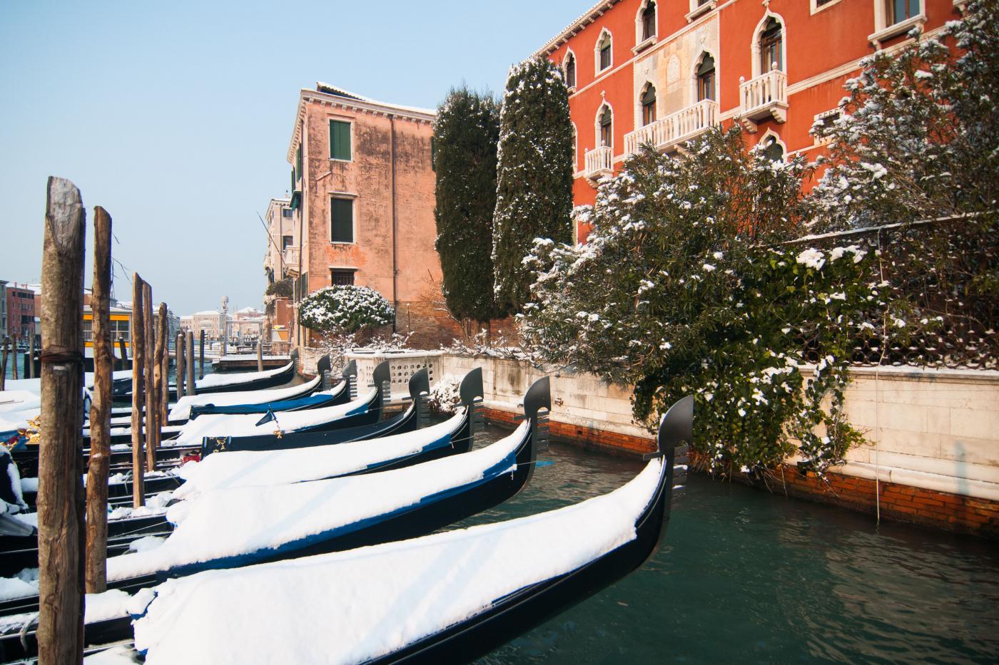 Lo spettacolo della neve a Venezia: la città lagunare si risveglia ...