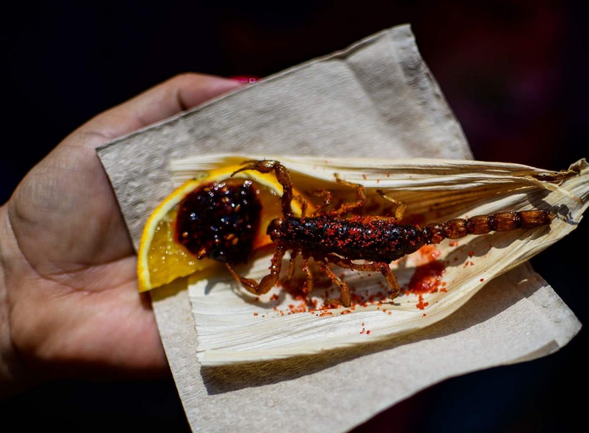 Scorpioni e insetti: il cibo prelibato preispanico spopola a Città del ...