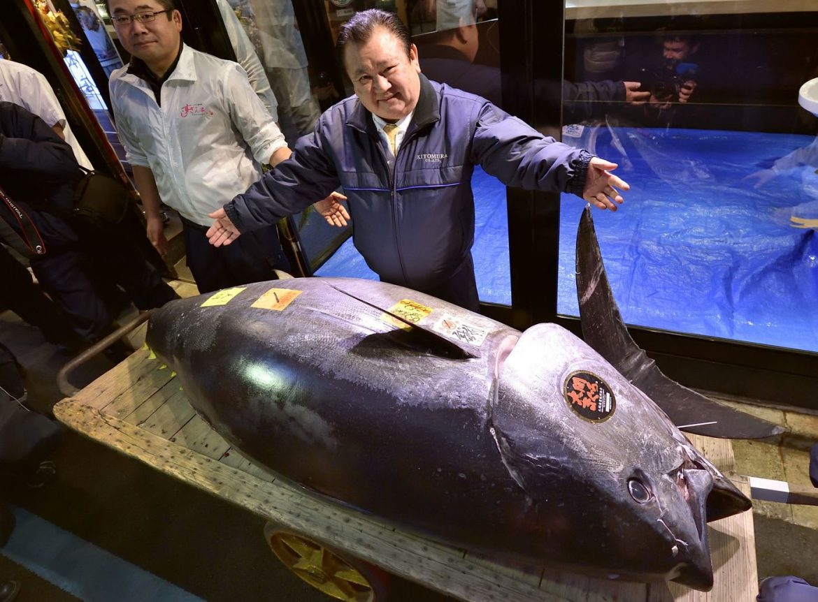 Tokyo, tonni da record al nuovo mercato del pesce di Toyosu [GALLERY]