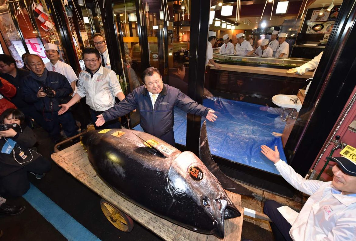 Tokyo, tonni da record al nuovo mercato del pesce di Toyosu [GALLERY]