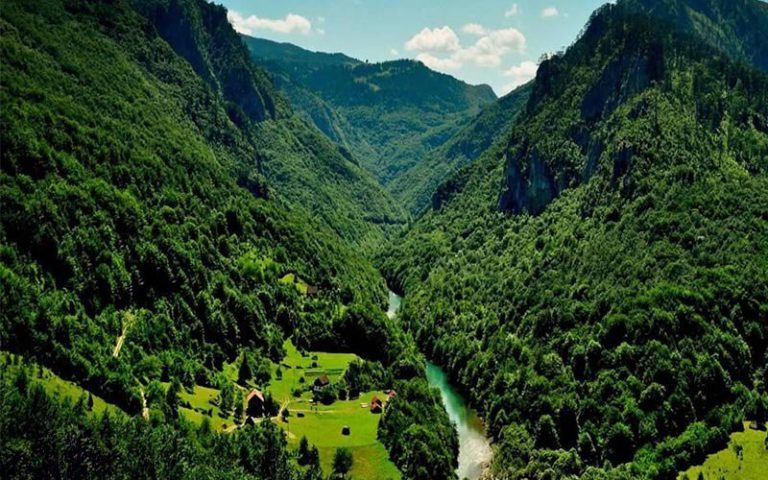 Iran, le foreste di Hyrcanian diventano Patrimonio mondiale dell ...