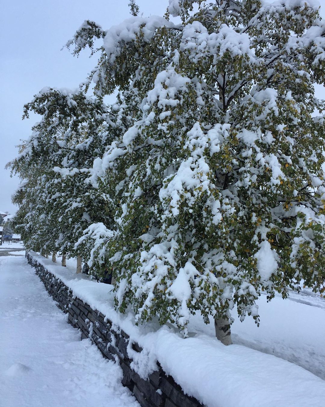 Meteo, in Europa è già Inverno: bufere di neve in Norvegia, gran freddo ...