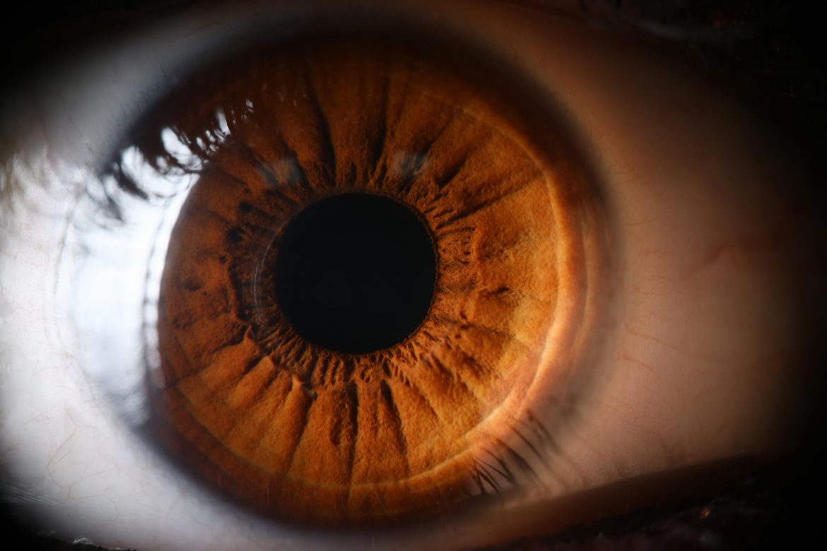 Retina artificiale: un microchip restituisce la vista ai non vedenti