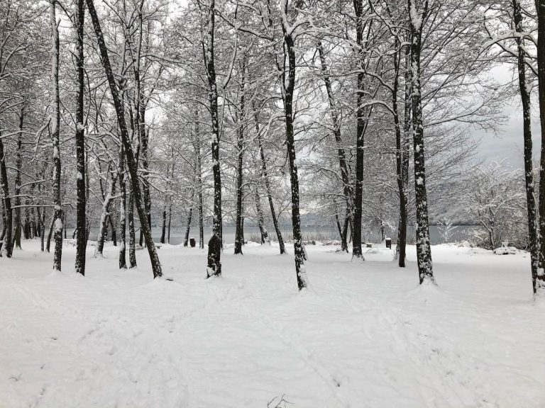 Maltempo e neve in Piemonte, nel Vco la zona dei laghi è la più colpita ...