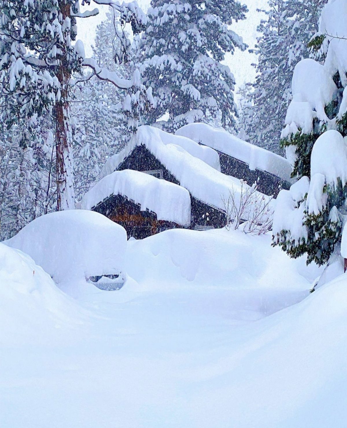 Il vortice polare assedia il Nord America: California sommersa dalla ...