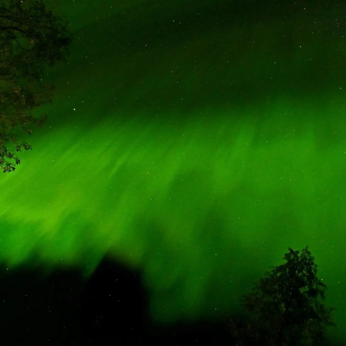 Il fascino mozzafiato dell'Aurora Polare: atmosfera magica nel Nord ...