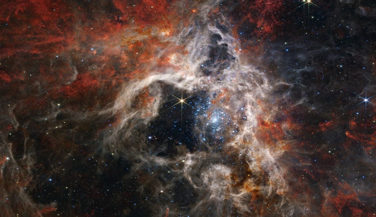 Il telescopio James Webb cattura una tarantola cosmica: la Nebulosa ...