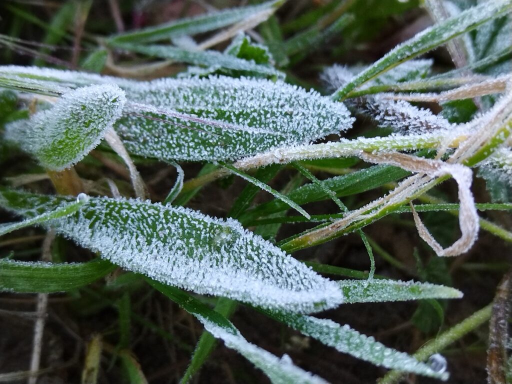 Paesaggi invernali in Sicilia, la brina imbianca Piazza Armerina