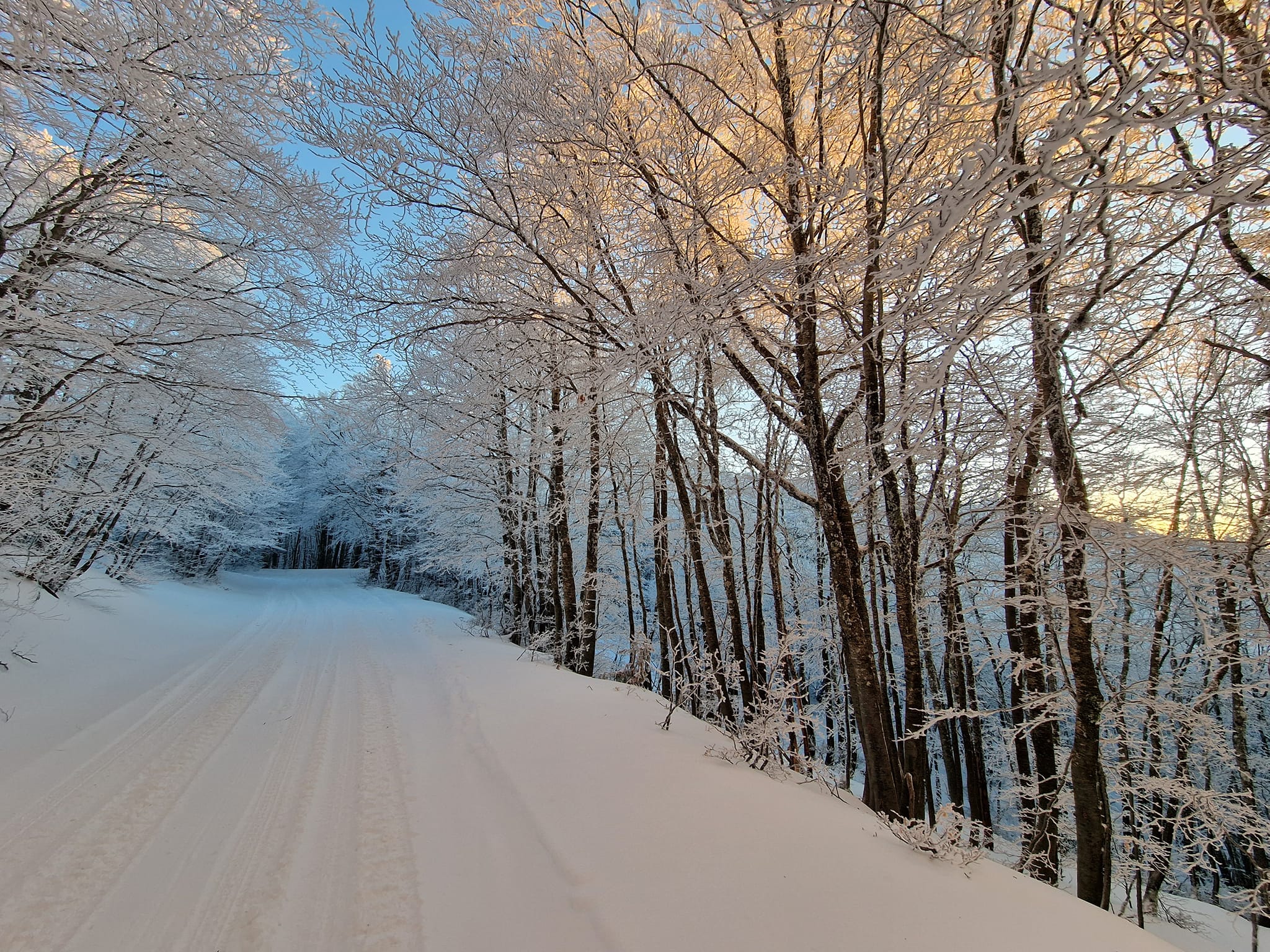 Il paradiso c'è ed è in Aspromonte: le opere d'arte della neve sulla ...