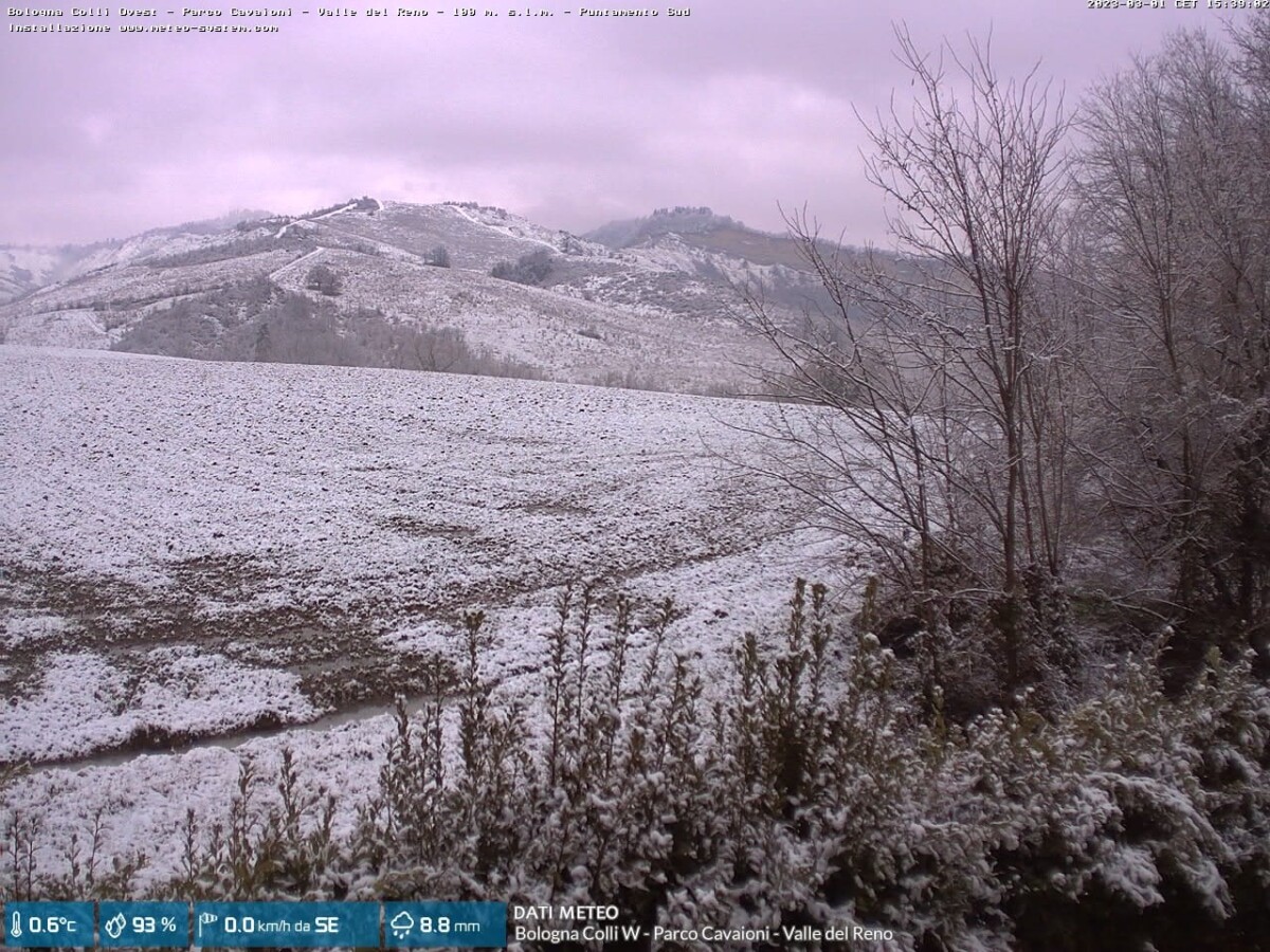 Maltempo, neve fino in pianura in Emilia Romagna: imbiancate anche ...