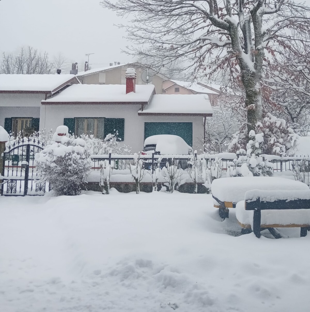 Maltempo, neve fino in pianura in Emilia Romagna: imbiancate anche ...