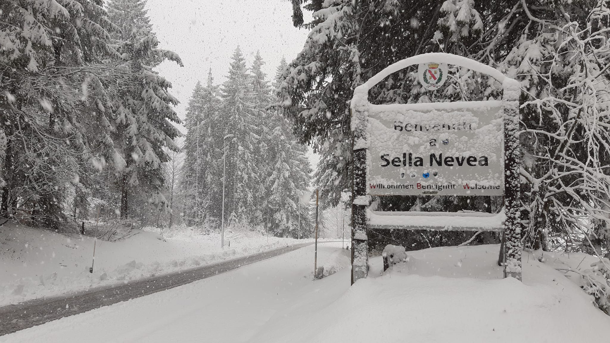 Maltempo Friuli Venezia Giulia: piogge intense e neve abbondante | FOTO