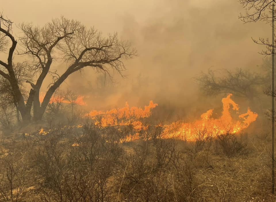Si aggrava lo Smokehouse Creek Fire: è l’incendio più grande della ...