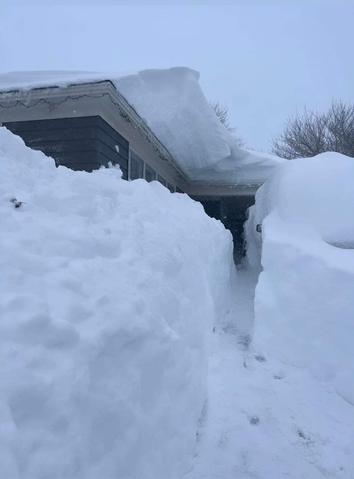 Storica tempesta di neve in Canada, Nova Scotia sommersa | FOTO