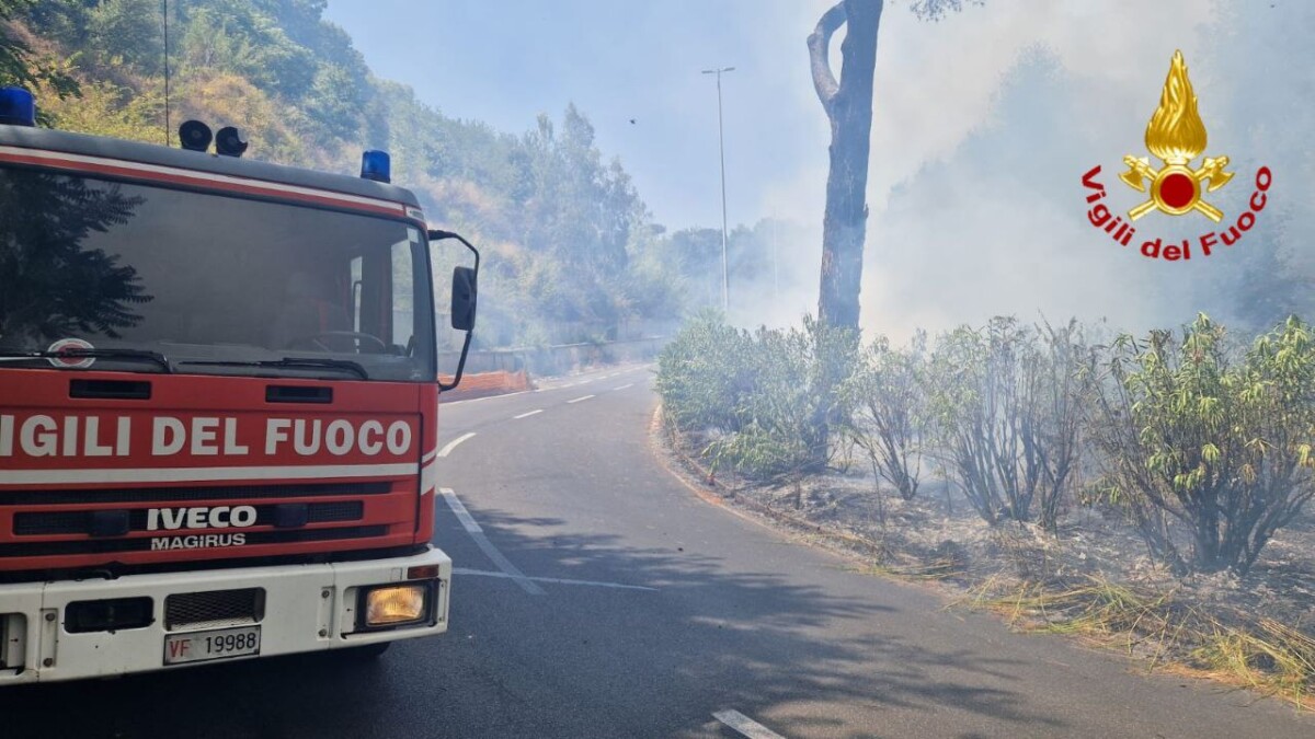 Roma, vasto incendio sulla collina di Monte Mario: evacuazioni