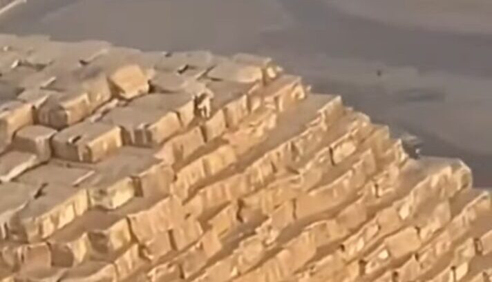 Visto cane in cima alla Grande Piramide di Giza, com'è possibile?