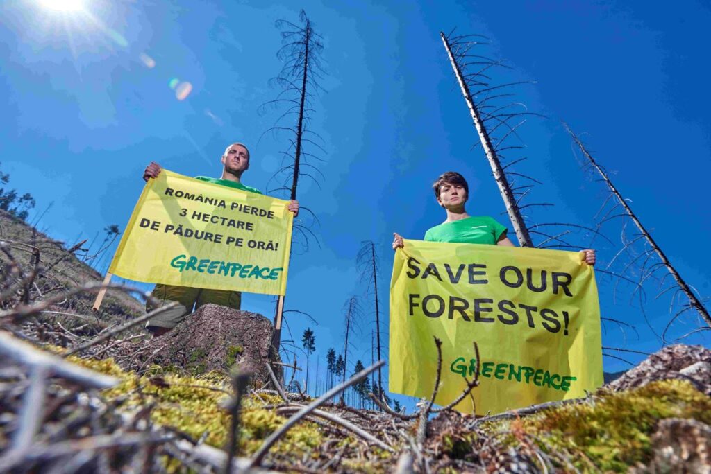 I regali di Greenpeace per tutelare le foreste e la biodiversità