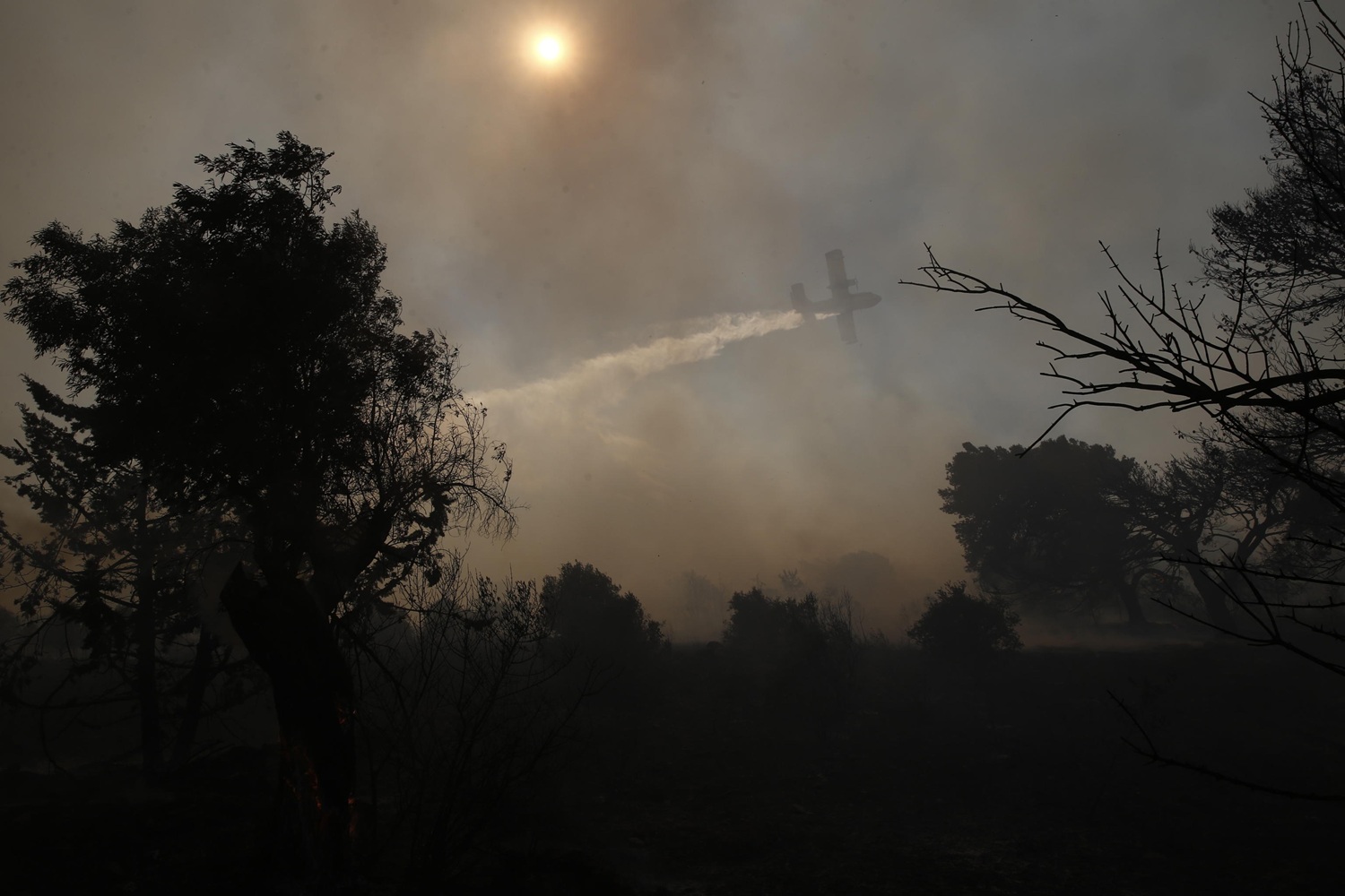 Grecia, vasto incendio a est di Atene: 3 località evacuate