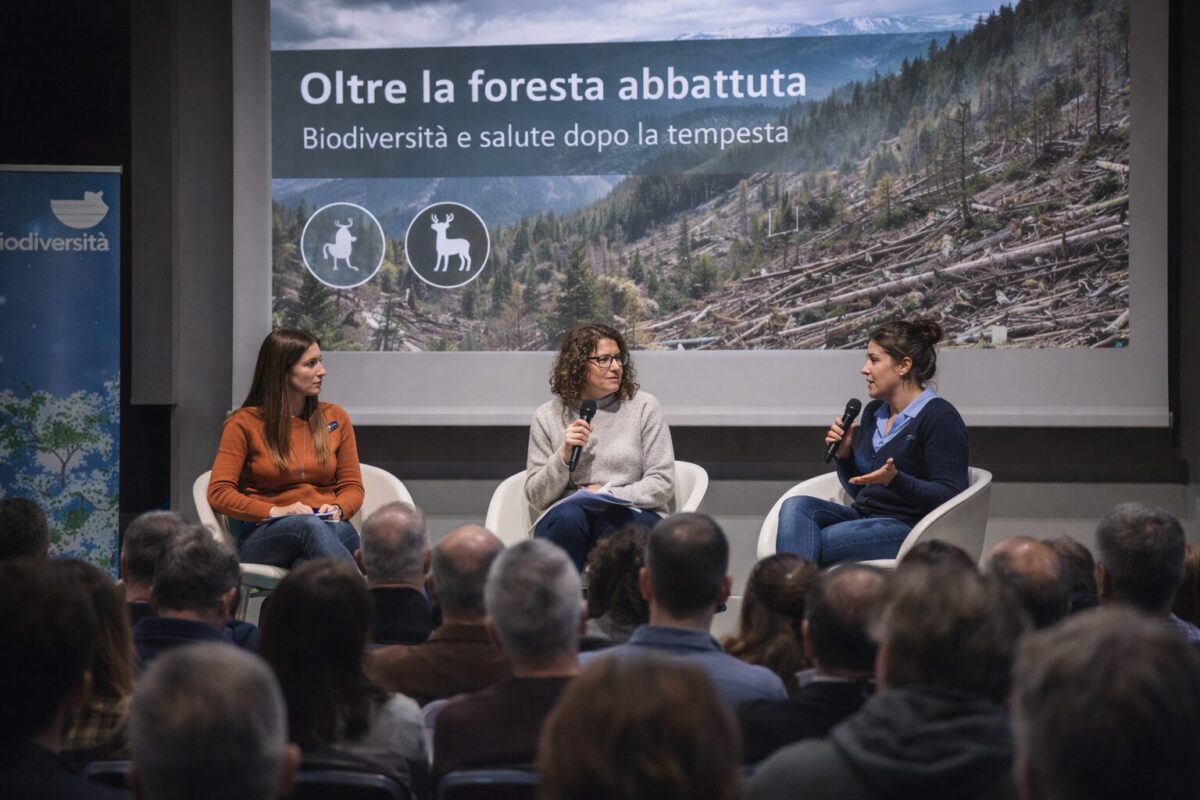 "Oltre la foresta abbattuta: nuovi equilibri tra biodiversità e salute ...