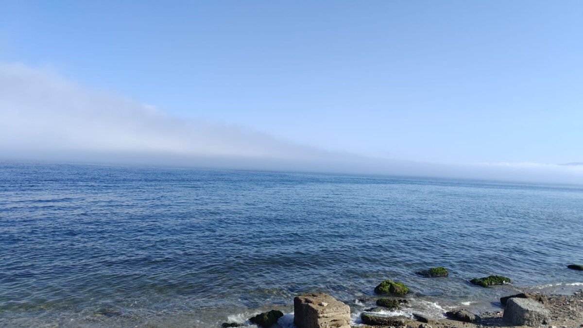 Lo spettacolo della "Lupa di mare": l'eccezionale nebbia da avvezione ...