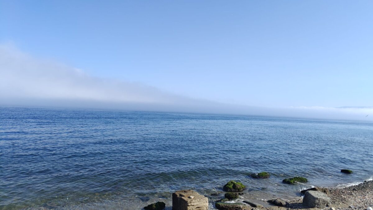 Lo spettacolo della "Lupa di mare": l'eccezionale nebbia da avvezione ...
