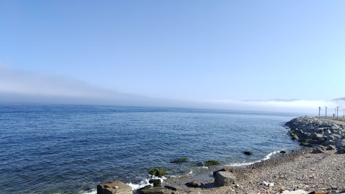 Lo spettacolo della "Lupa di mare": l'eccezionale nebbia da avvezione ...